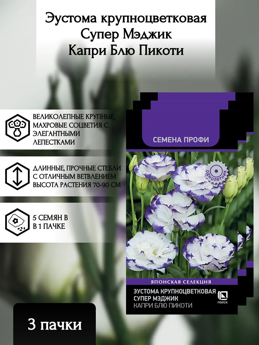 Эустома Супер Мэджик Капри Блю Пикоти, 3 пачки