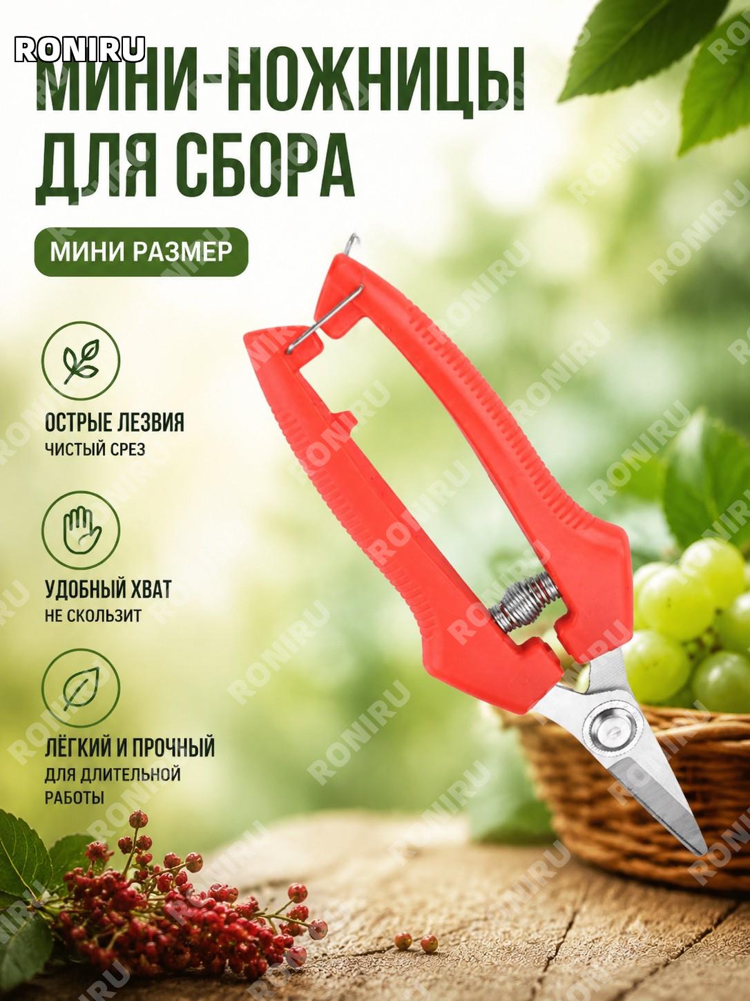 Мини-ножницы для сбора плодов, садовые ножницы для обрезки и сбора фруктов и овощей, инструмент для сада и дачи