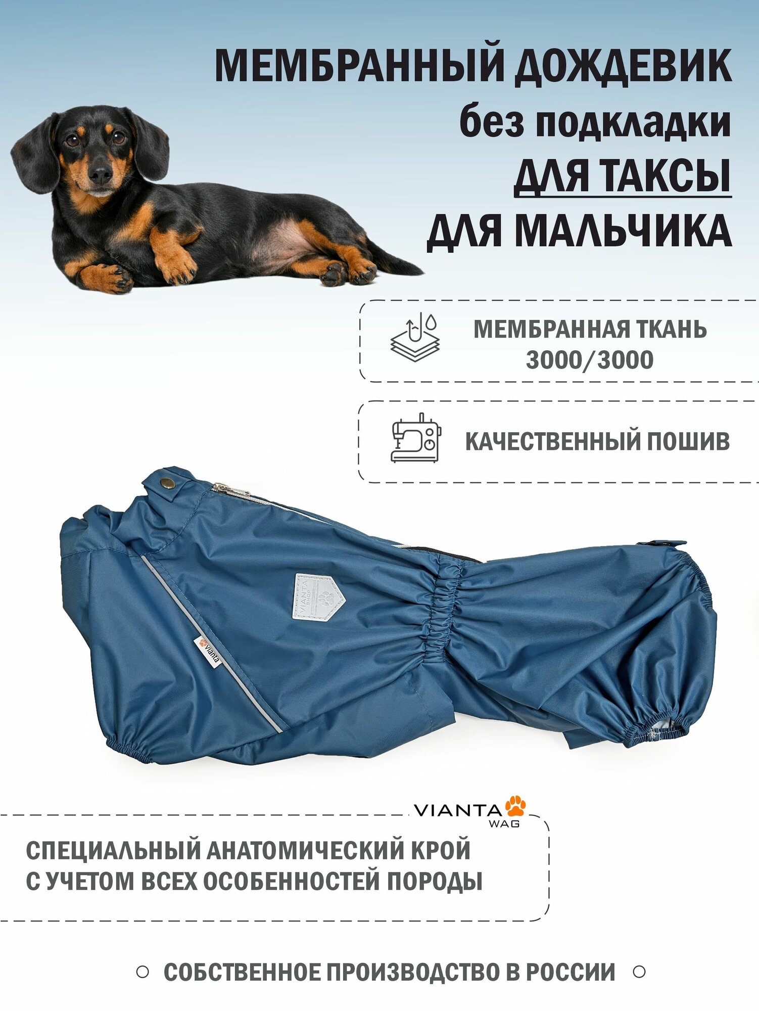 Мембранный дождевик для такс для мальчиков
