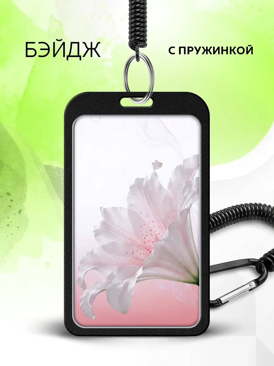 Бейдж на пропуск металлический с пружинкой и картинками
