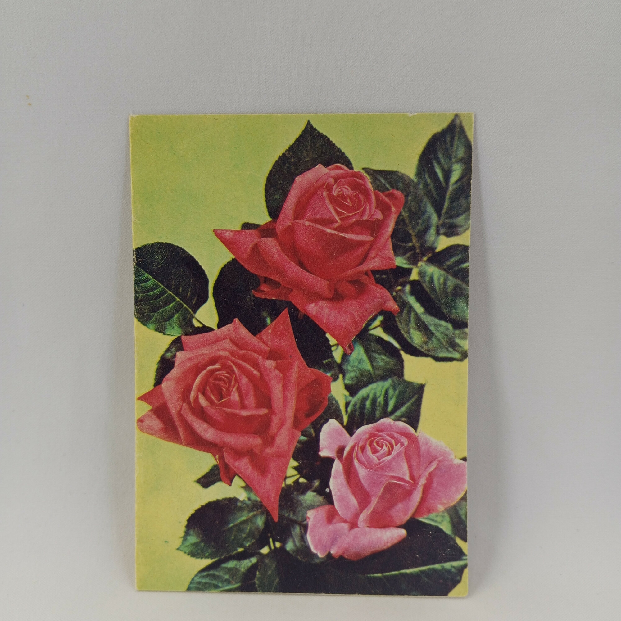 Открытка советская СССР. Красные и розовые розы на зеленом фоне. Винтаж