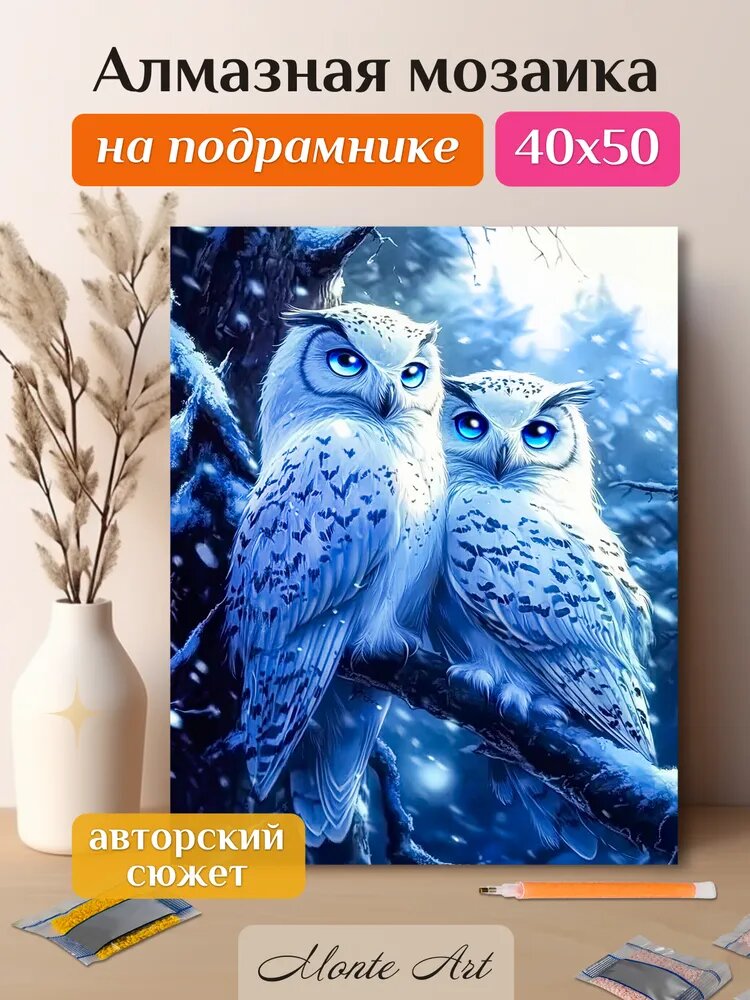 Алмазная мозаика на подрамнике «Совы» 40x50 см, полная выкладка, 36 цветов