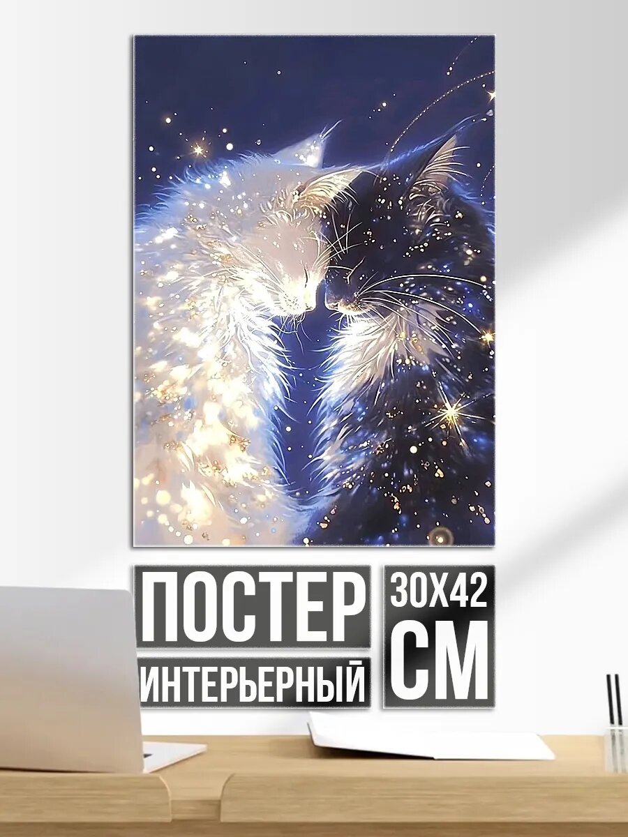 Плакат постер Коты инь и ян