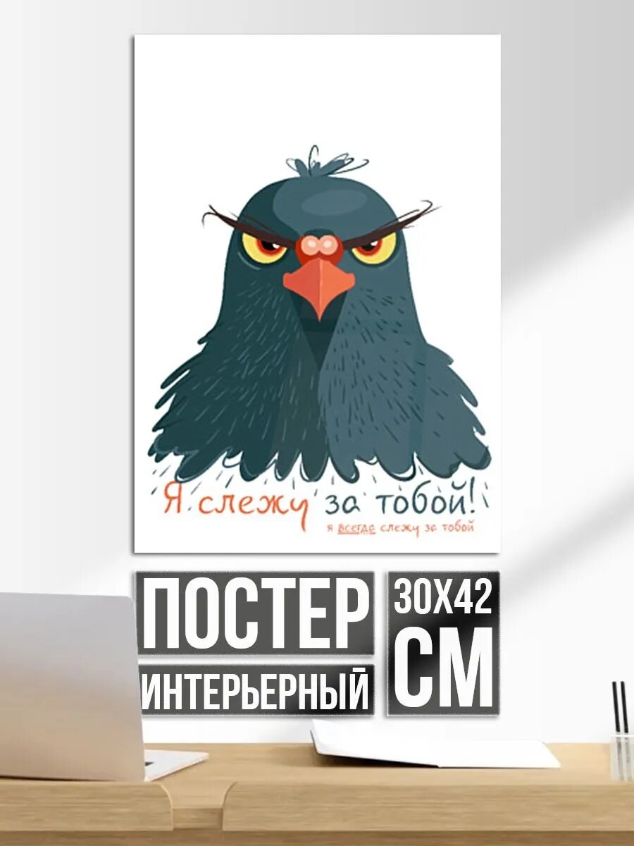 Постер на стену Злой голубь