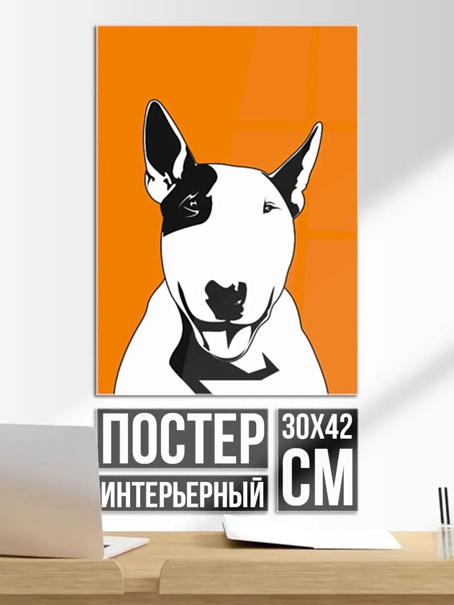 Постер на стену Солнечнй бультерьер