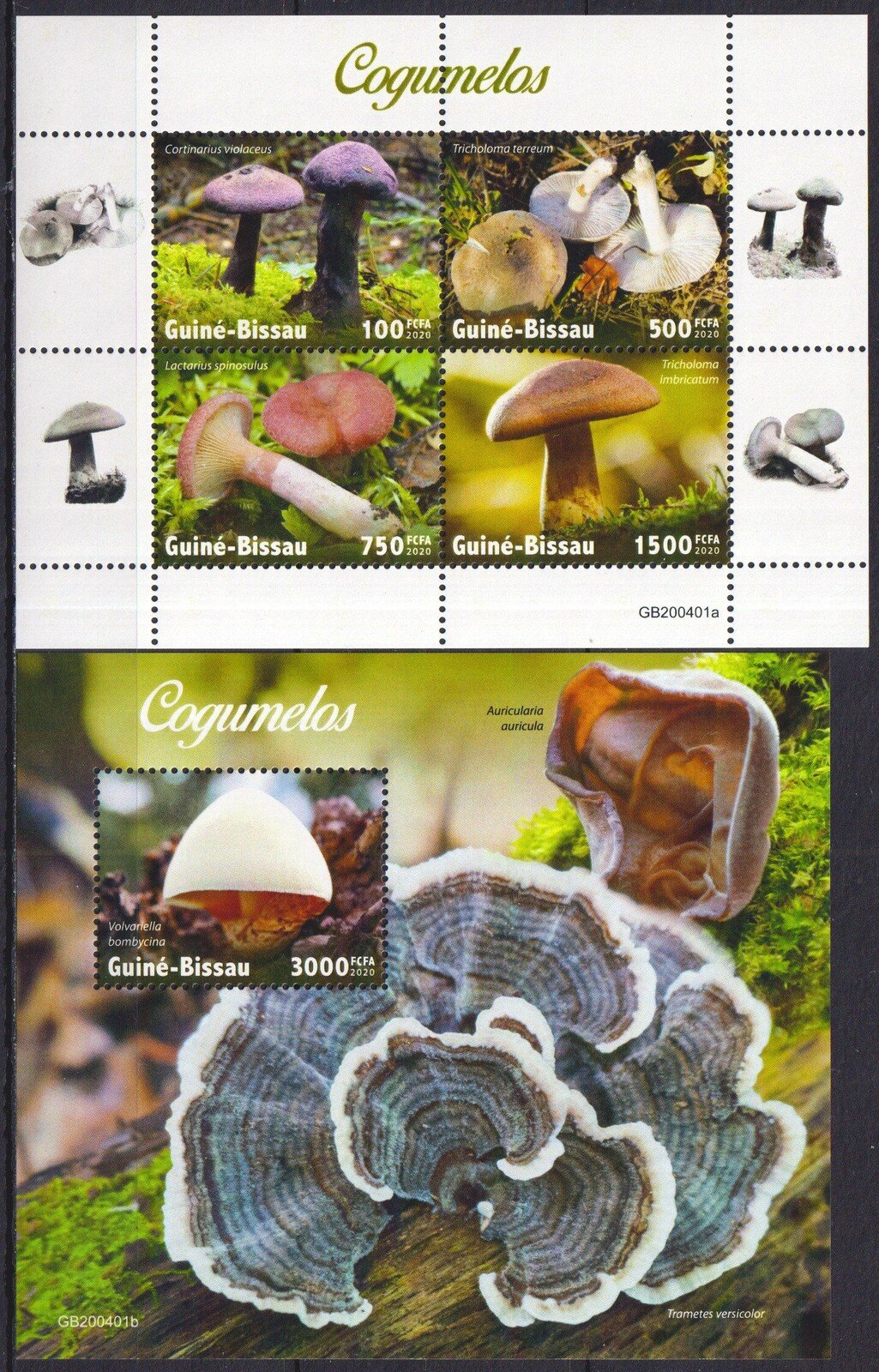 Марки 2020 год Гвинея-Биссау Грибы Флора Природа #11323-11326+BL1944 MNH