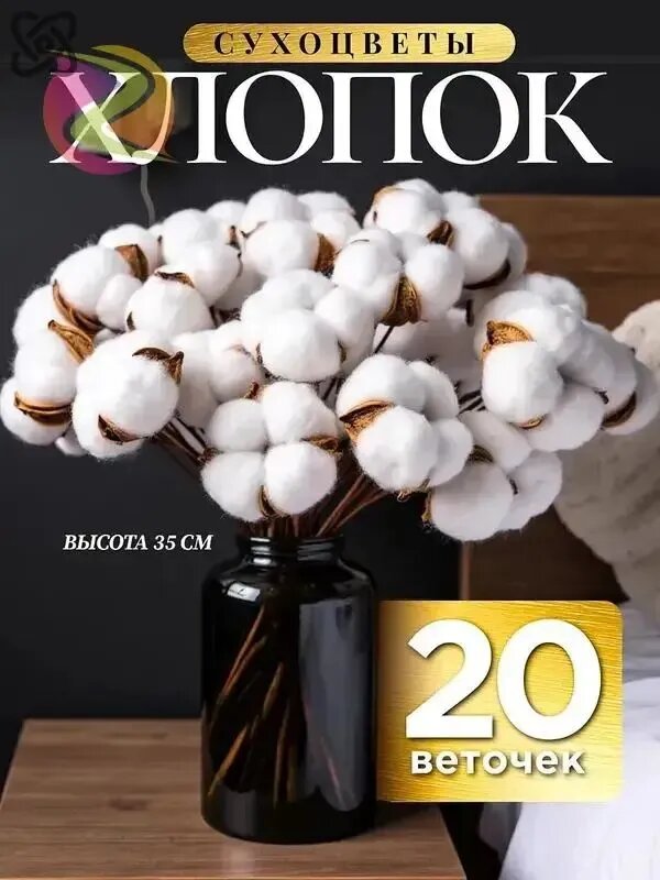 Сухоцветы Хлопок, 35 см, 20 шт