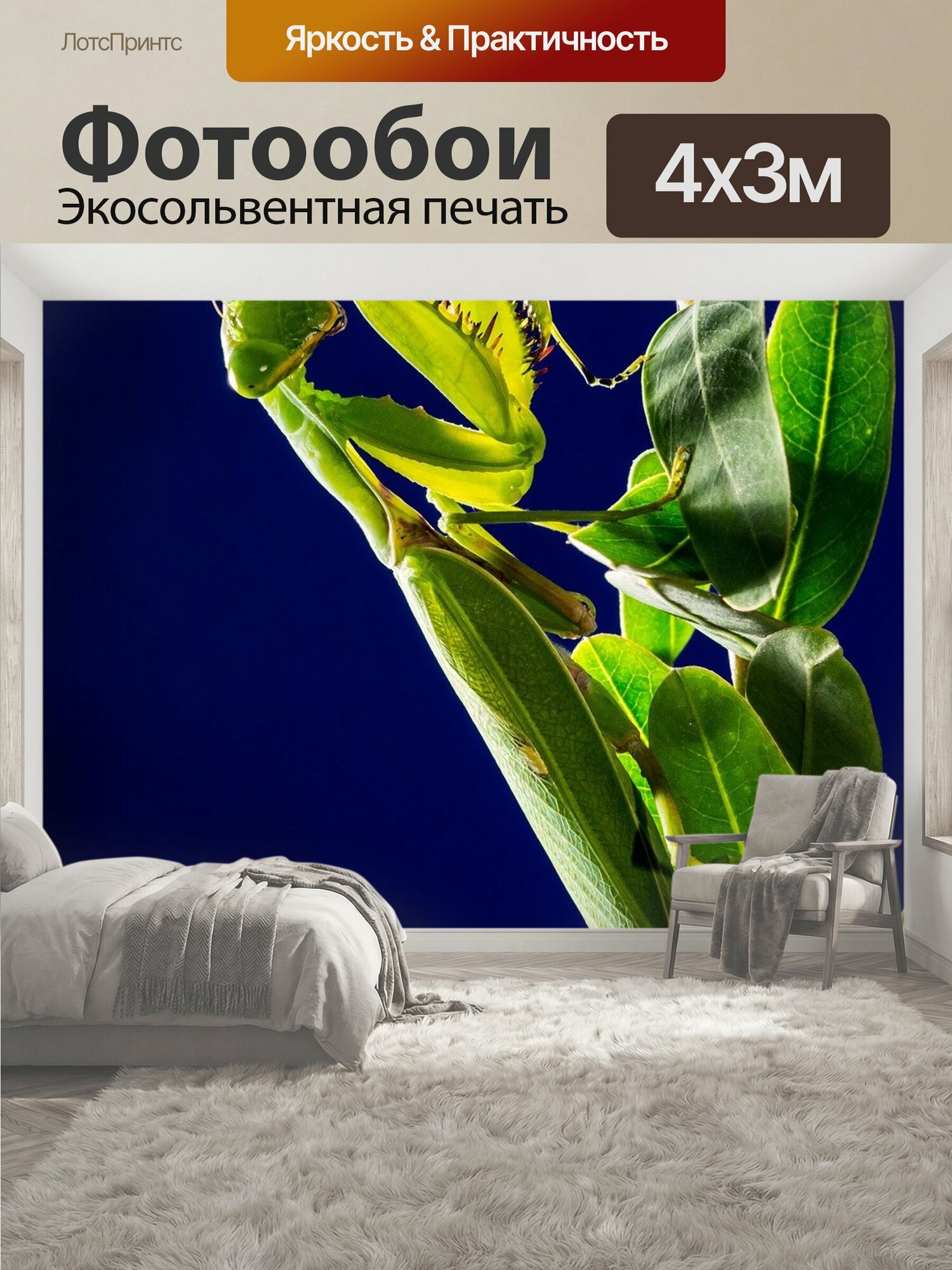 Фотообои "Богомол, ловля насекомых, mantis religiosa" 400x300 см. экосольвентная печать