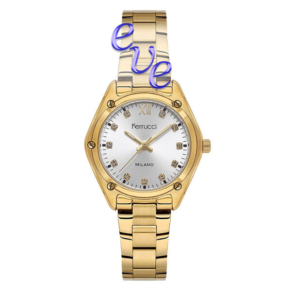 Наручные часы Ferrucci 3684-01