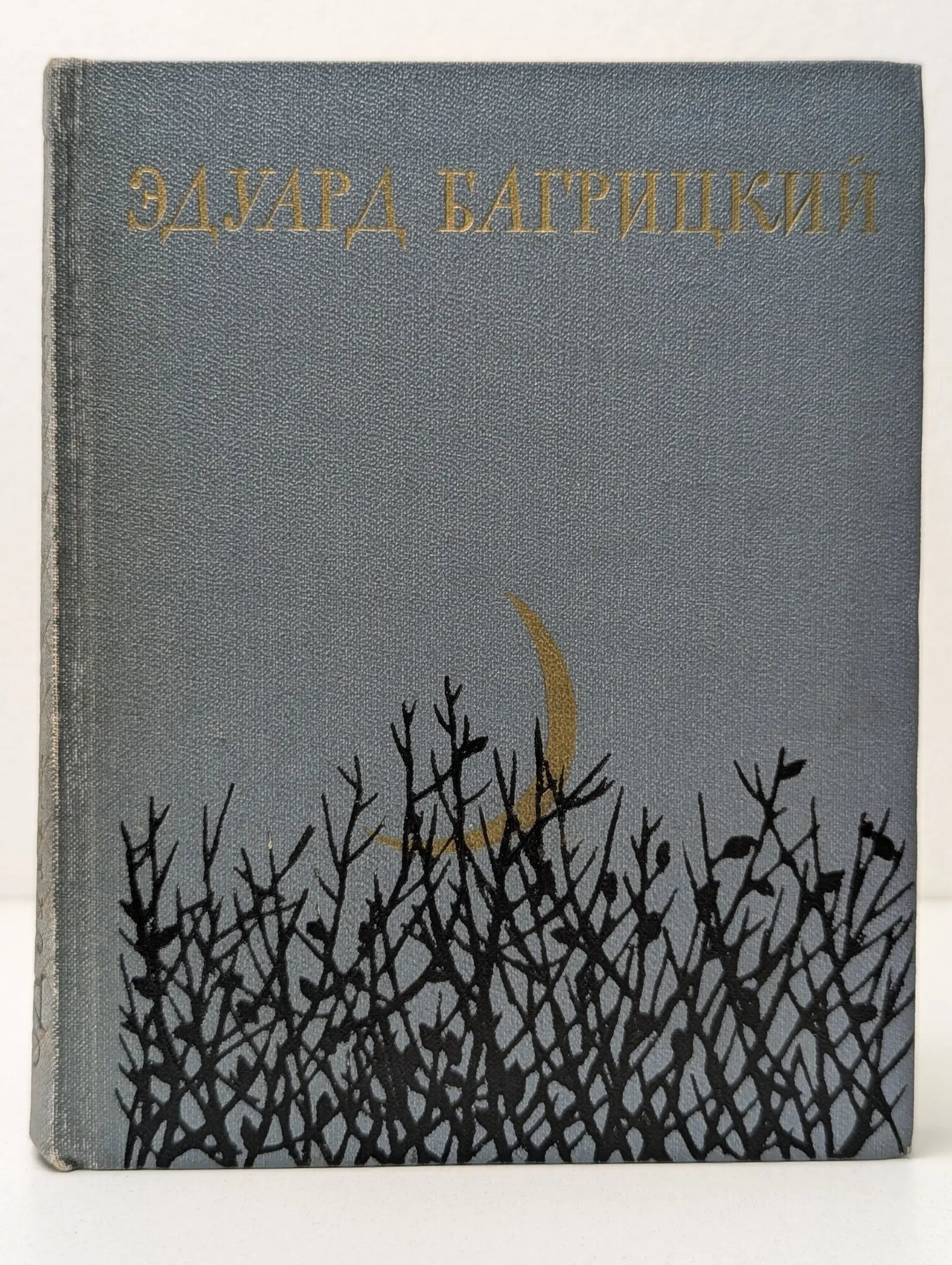 Эдуард Багрицкий. Стихи и поэмы Багрицкий Эдуард Георгиевич 1956