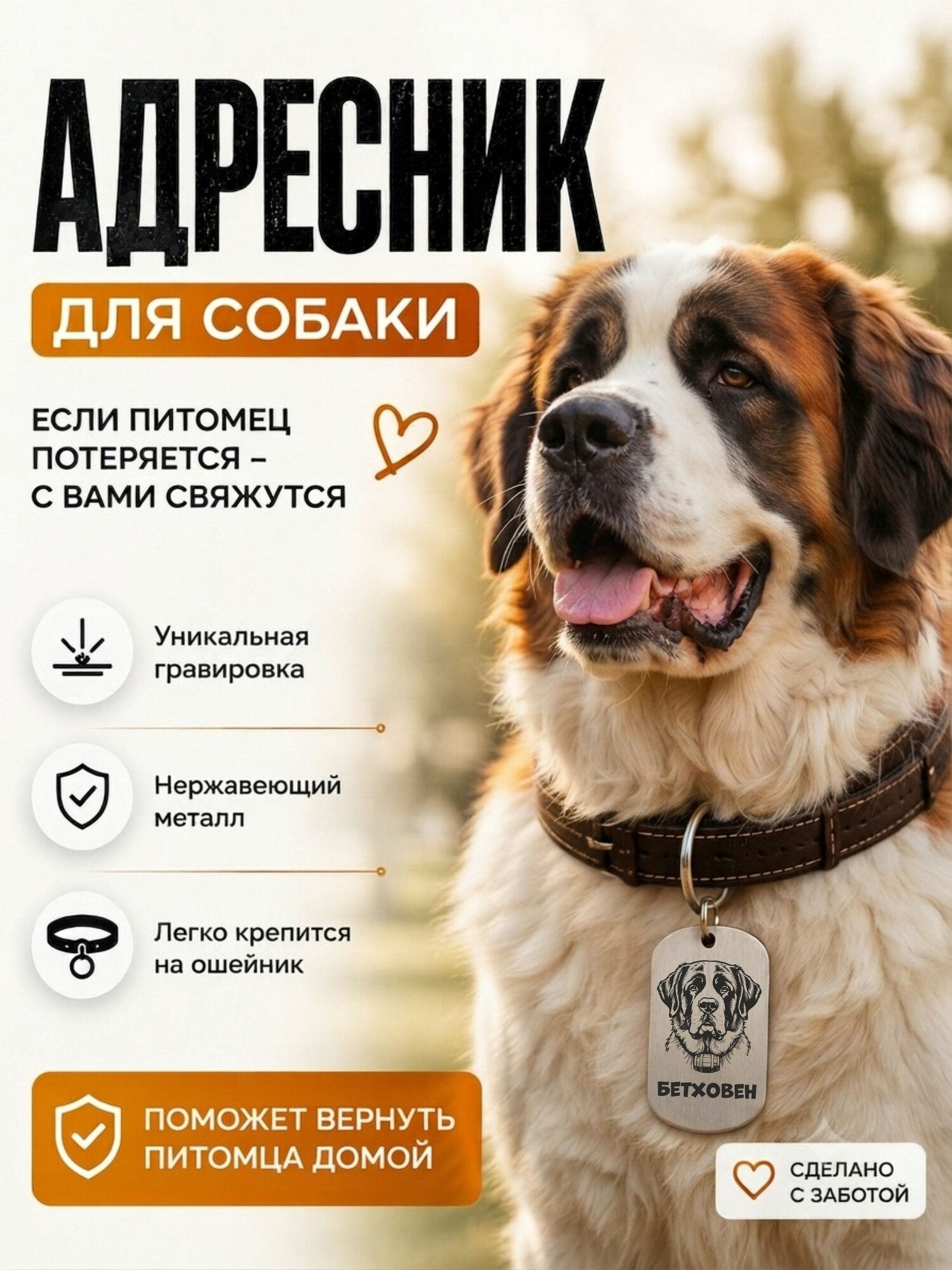 Адресник для собак с гравировкой Бетховен