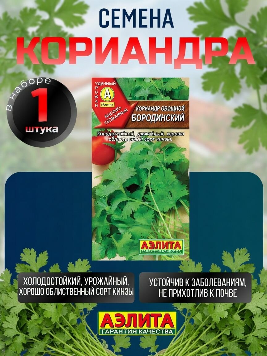 Семена Кориандр овощной (кинза) Бородинский