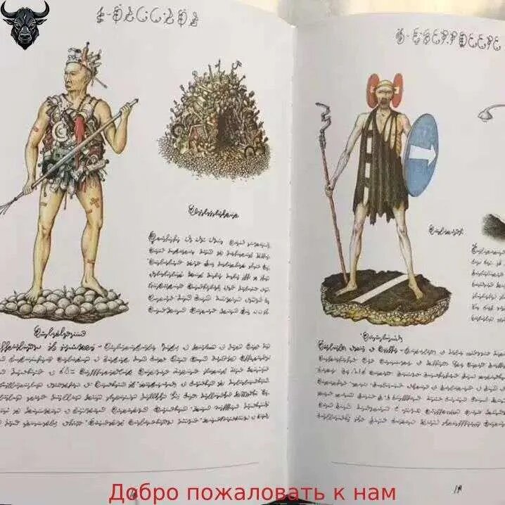 Codex Seraphinianus/ Serafini/ Darina — фото 1