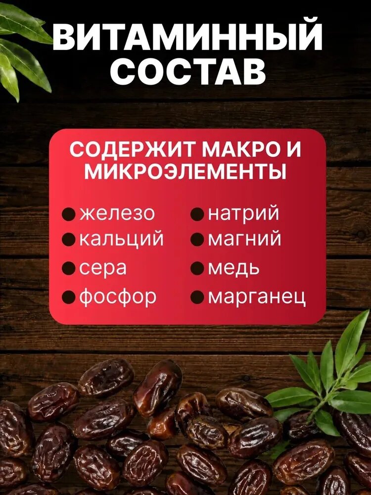 Финики Иранские — фото 1