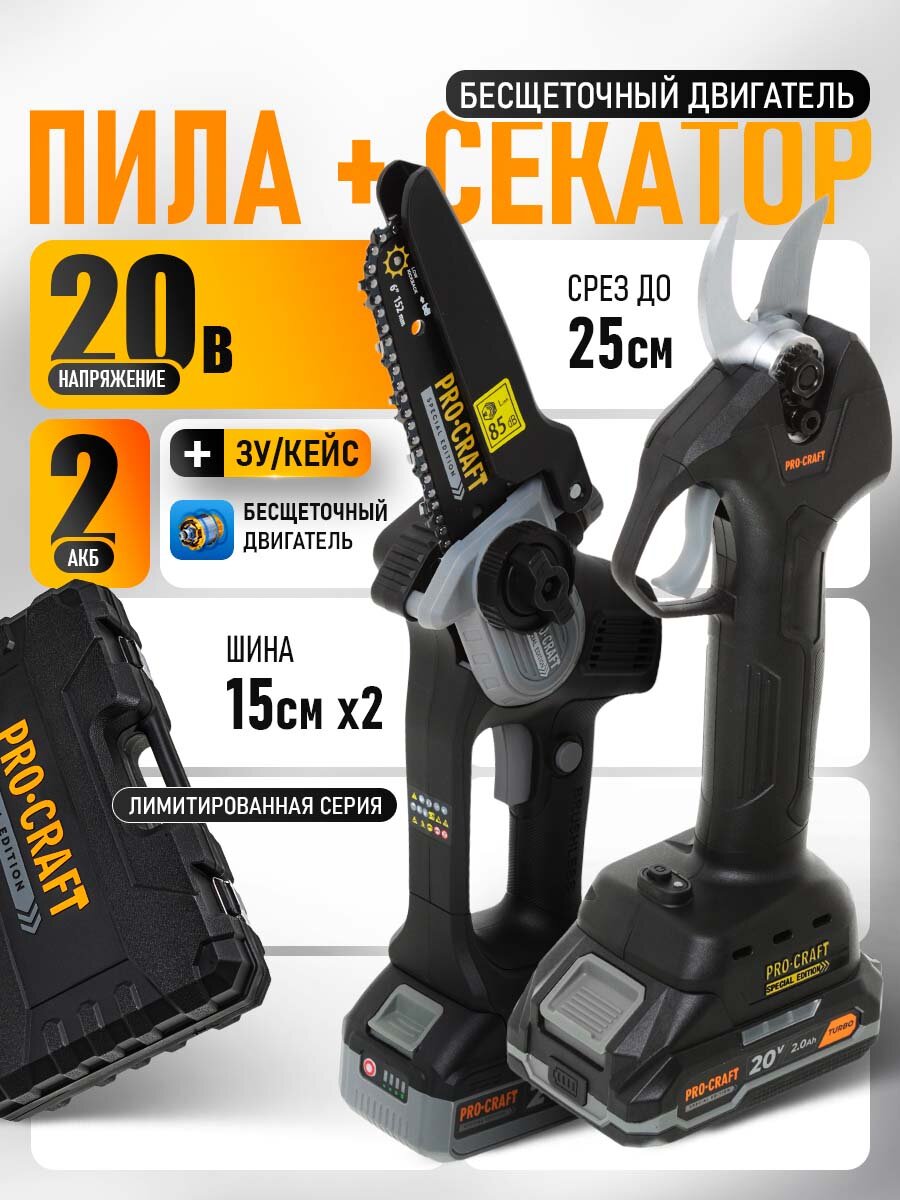 Пила аккумуляторная цепная и секатор аккумуляторный садовый PS210SET PROCRAFT Professional (CP20+CCS20), бесщеточные, АКБ 2А, АКБ 4А, ЗУ, 2 шины 6', 2 цепи 6', набор в кейсе