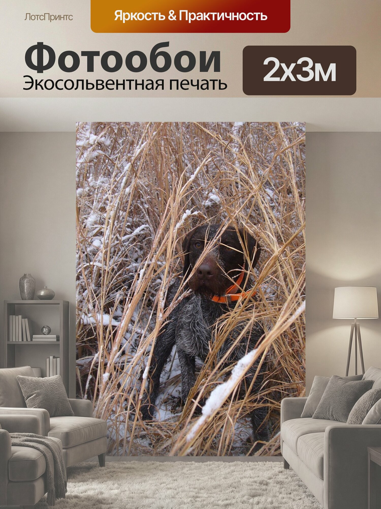 Фотообои "Собака, охота, точка" 200x300 см. экосольвентная печать