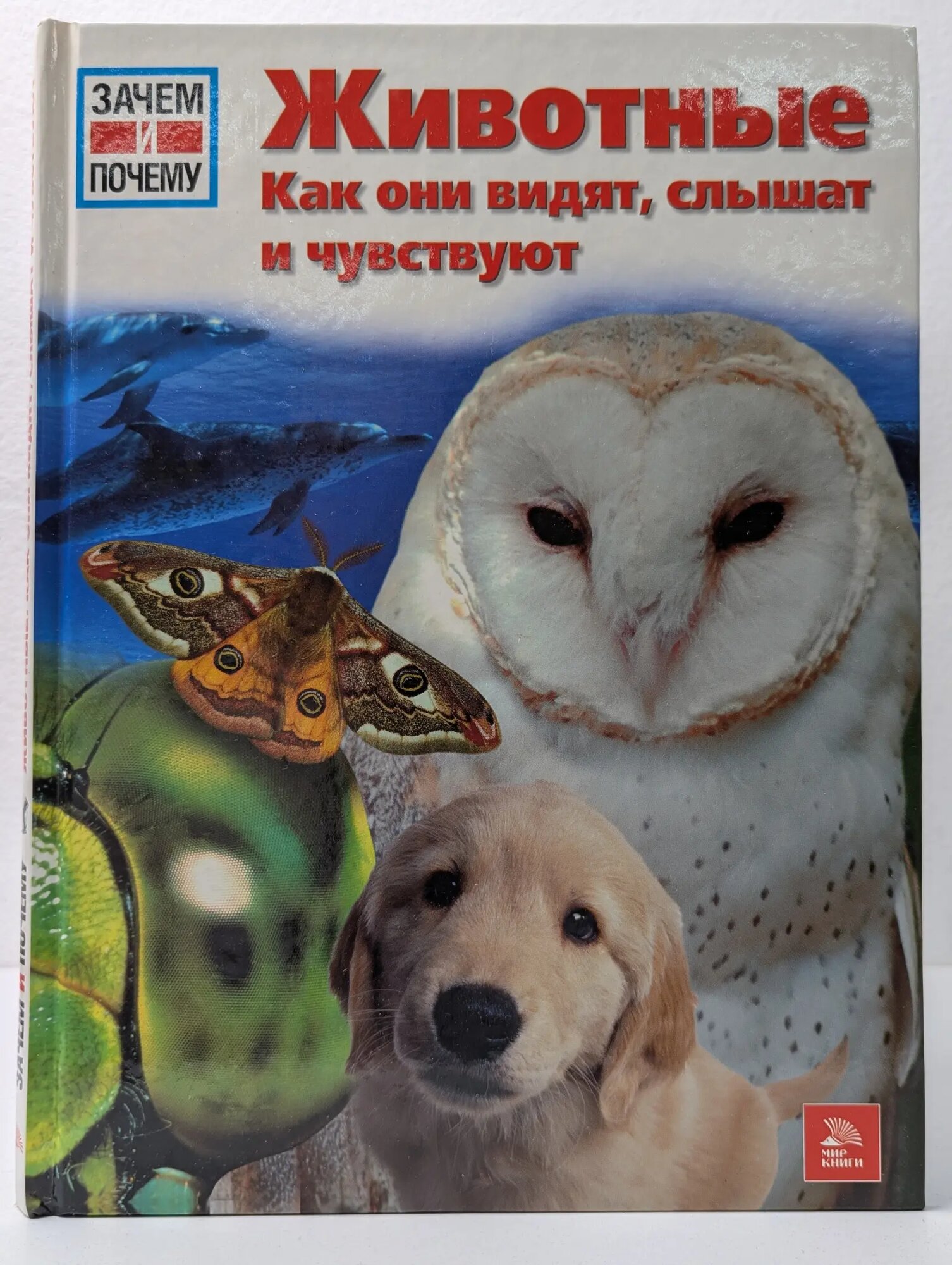 Зачем и почему. Животные. Как они видят, слышат и чувствуют Древер Вигус Б. 2010