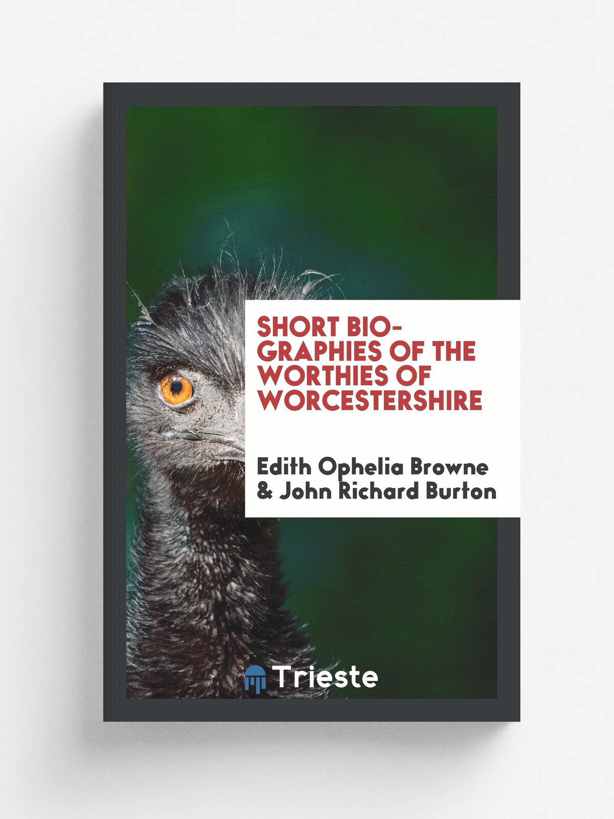 Short biographies of the worthies of Worcestershire