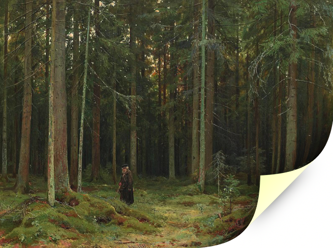"В лесу графини Мордвиновой. Петергоф", Шишкин Иван Иванович, картина (репродукция) (40х30 см / без подрамника)