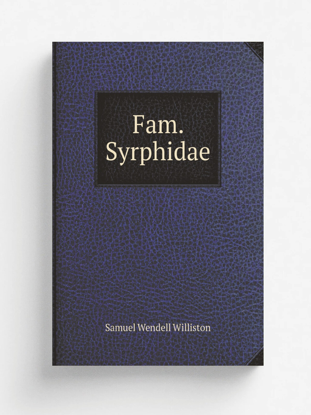 Fam. Syrphidae