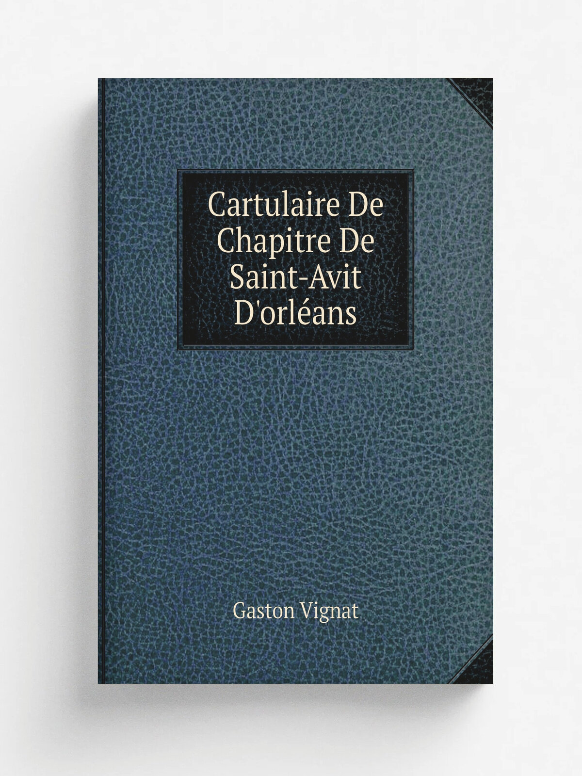 Cartulaire De Chapitre De Saint-Avit D'orl. ans | Gaston Vignat | 1886 | R. Houz. | Репринт