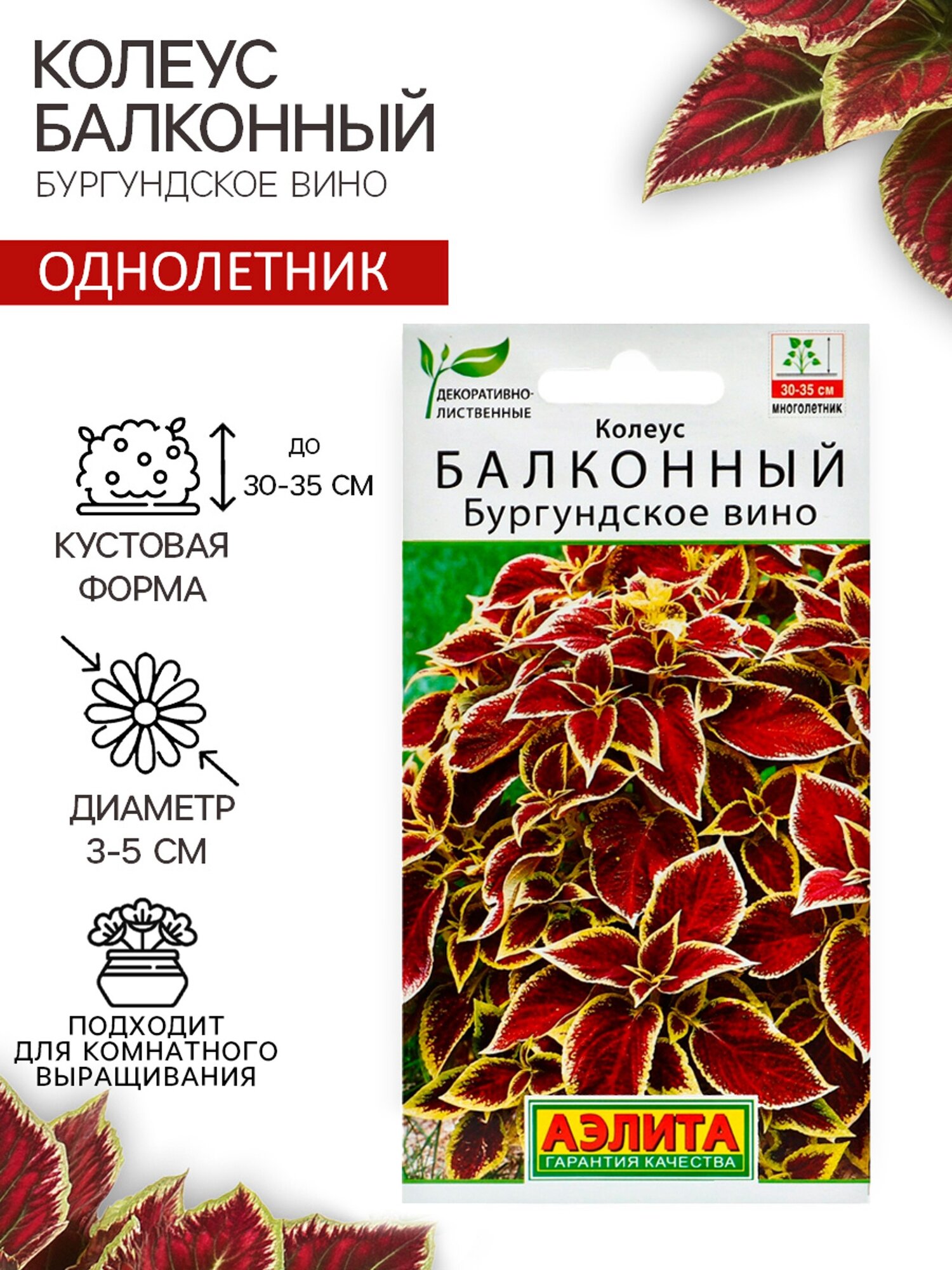 Семена цветов Колеус балконный «Бургундское вино», 5 шт.