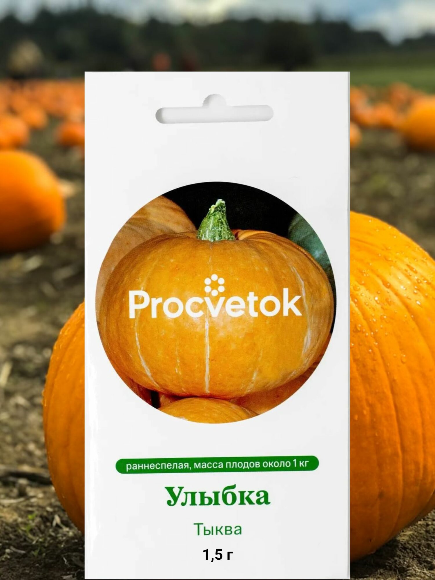 Семена Тыква Улыбка 1,5 г, Процветок
