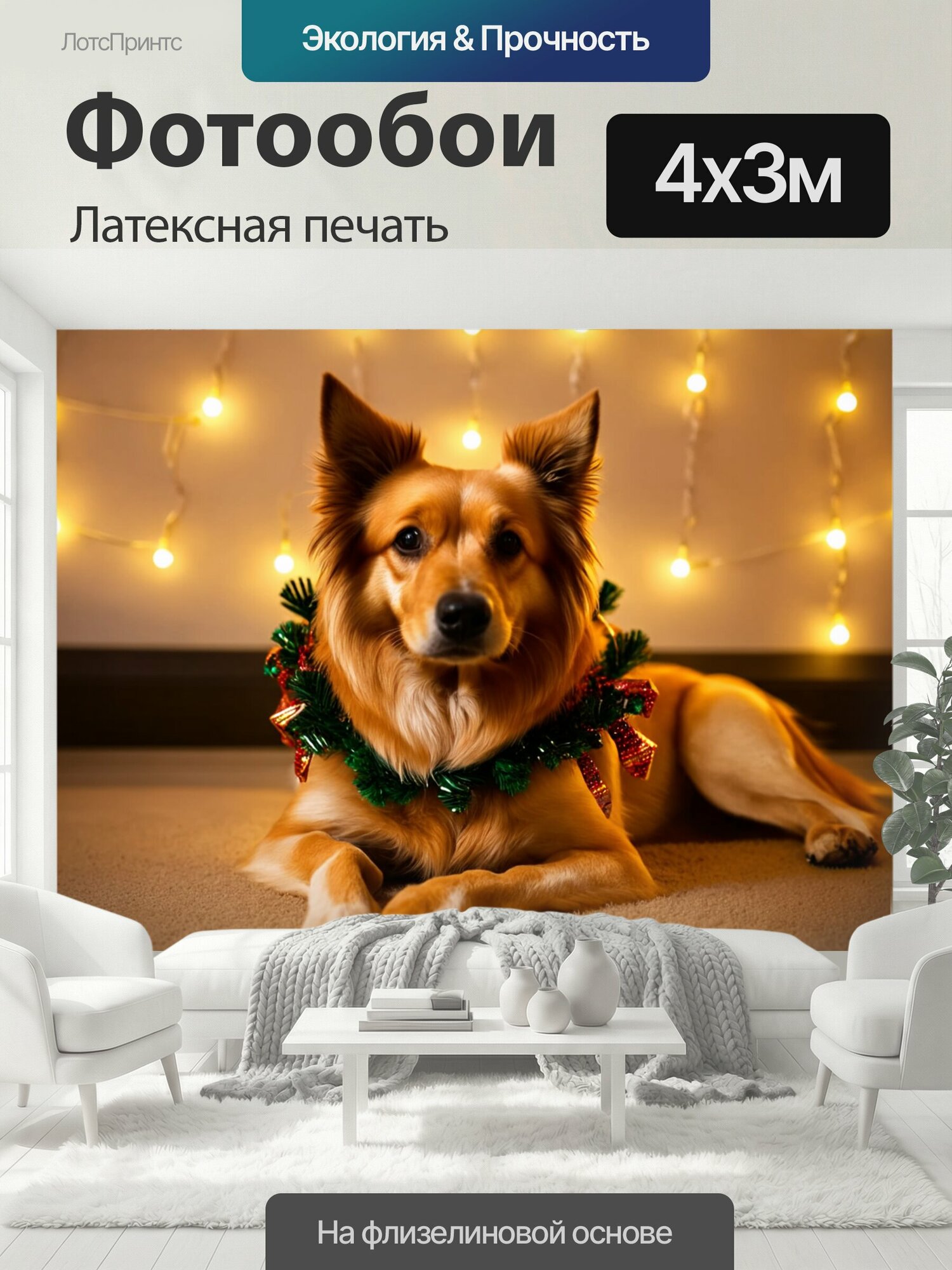Фотообои моющиеся ударопрочные "Собака лежит на полу, порода марокканский шпиц, обернута гирляндой с желтыми огоньками, на фоне стены с висящими." 400x300 см. латексная печать