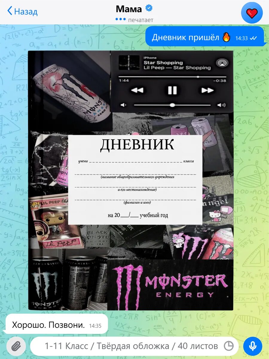Школьный дневник с принтом y2k pinterest