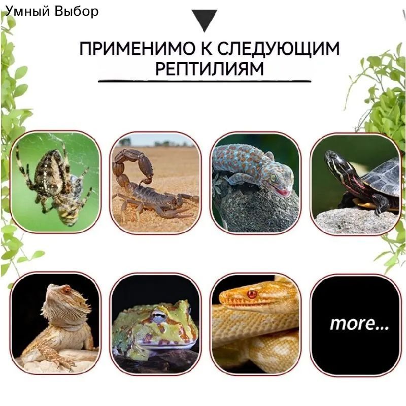 Террариум прямоугольный для рептилий и амфибий, компактный дизайн с вентиляцией, подходит для улиток и черепах — фото 1