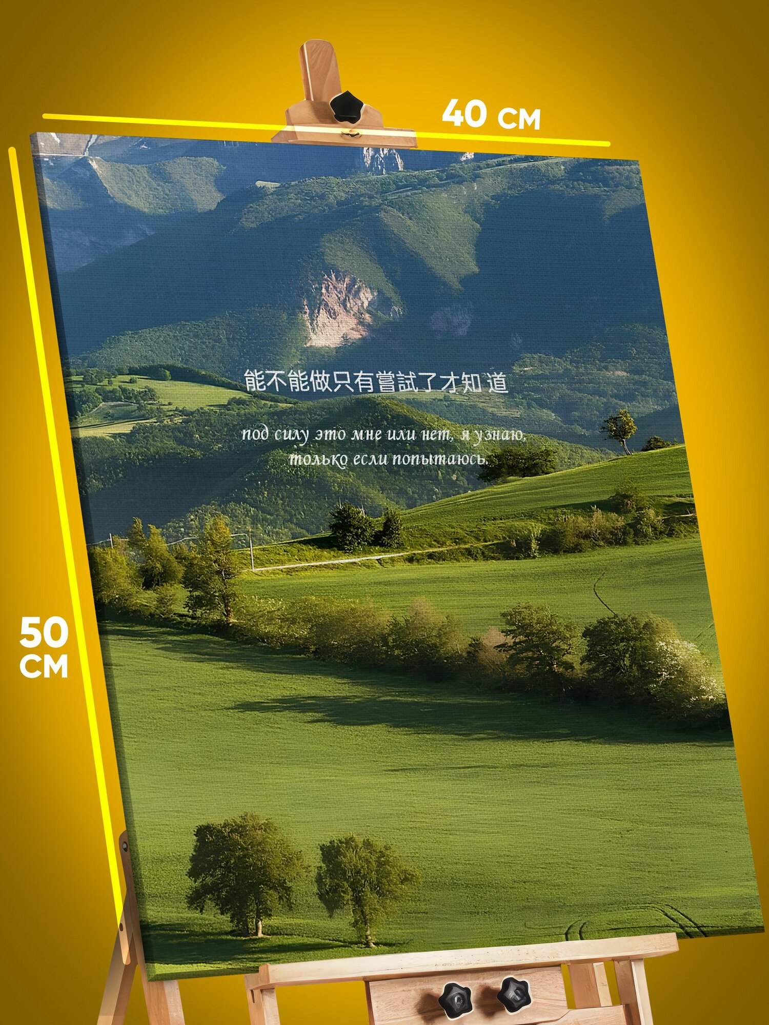 Картина на стену Мотивация 40x50