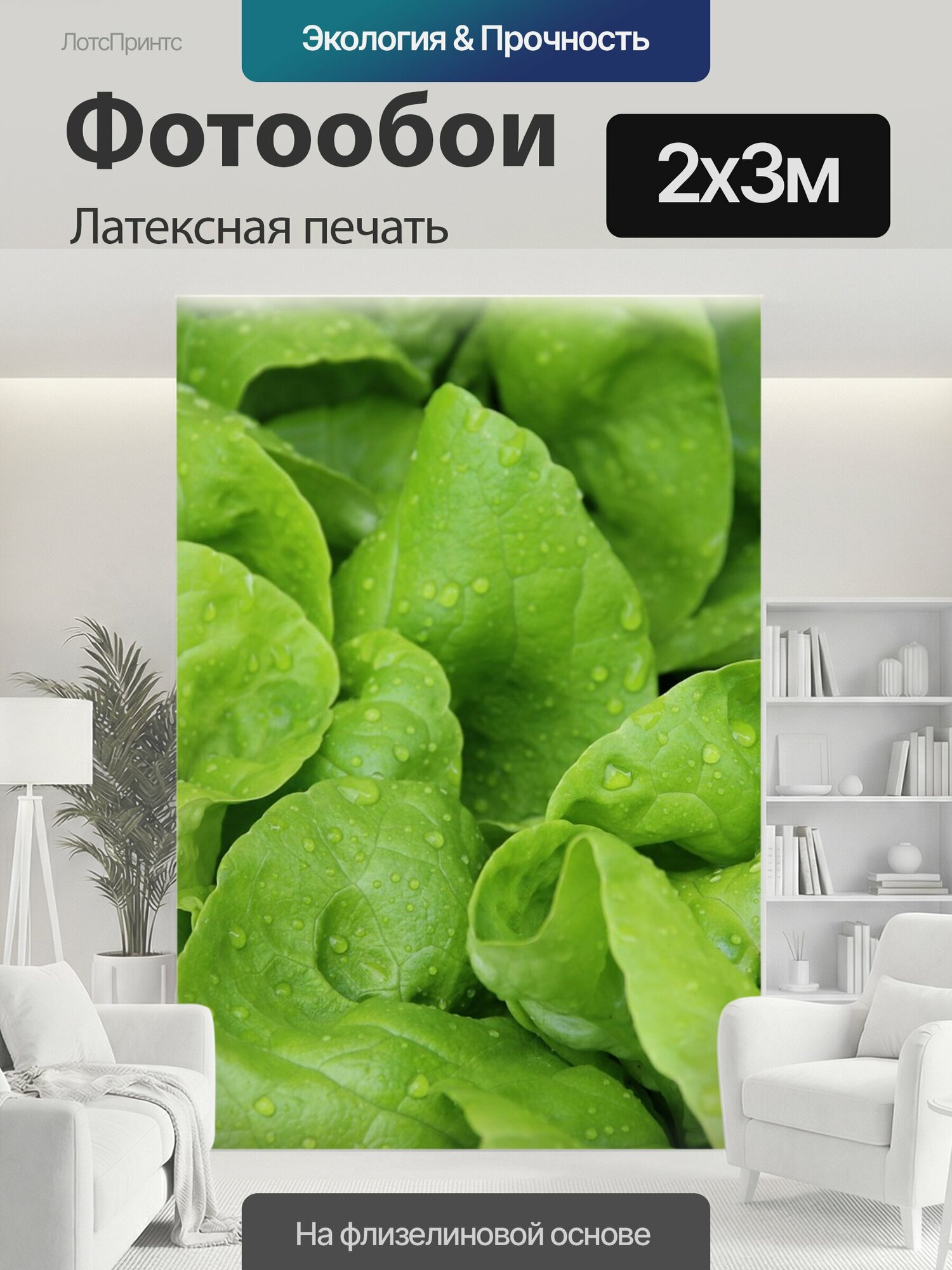 Фотообои моющиеся ударопрочные "Салат, листья салата, латук" 200x300 см. латексная печать