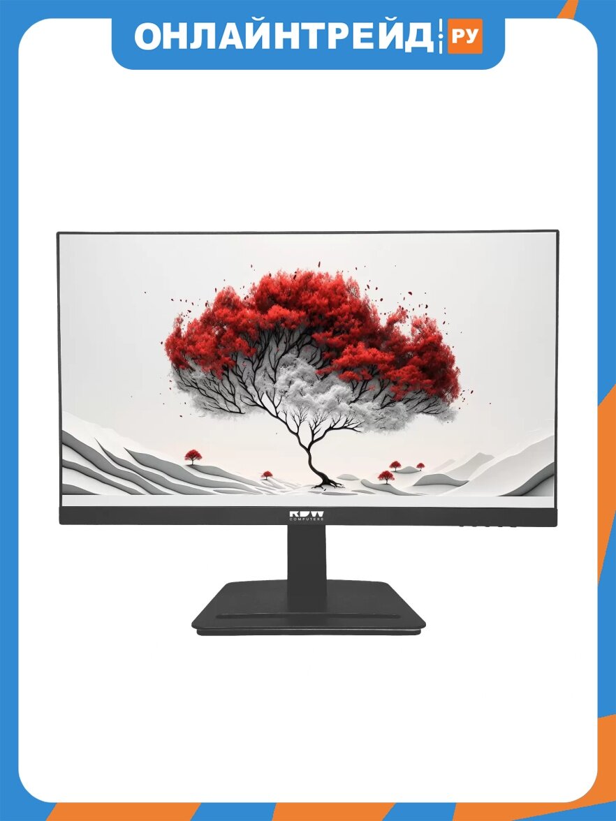 Монитор Rdw Computers 23.8" 2401K черный