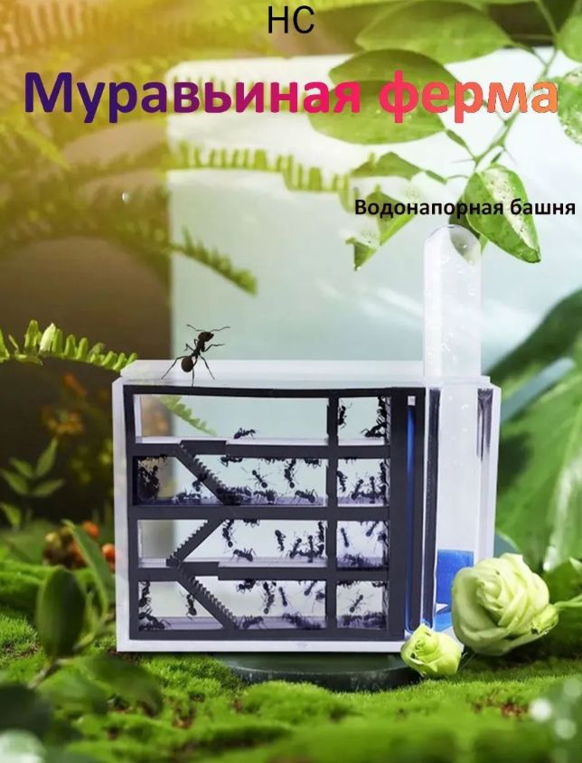 Муравьиная ферма полный комплект Формикарий для муравьев