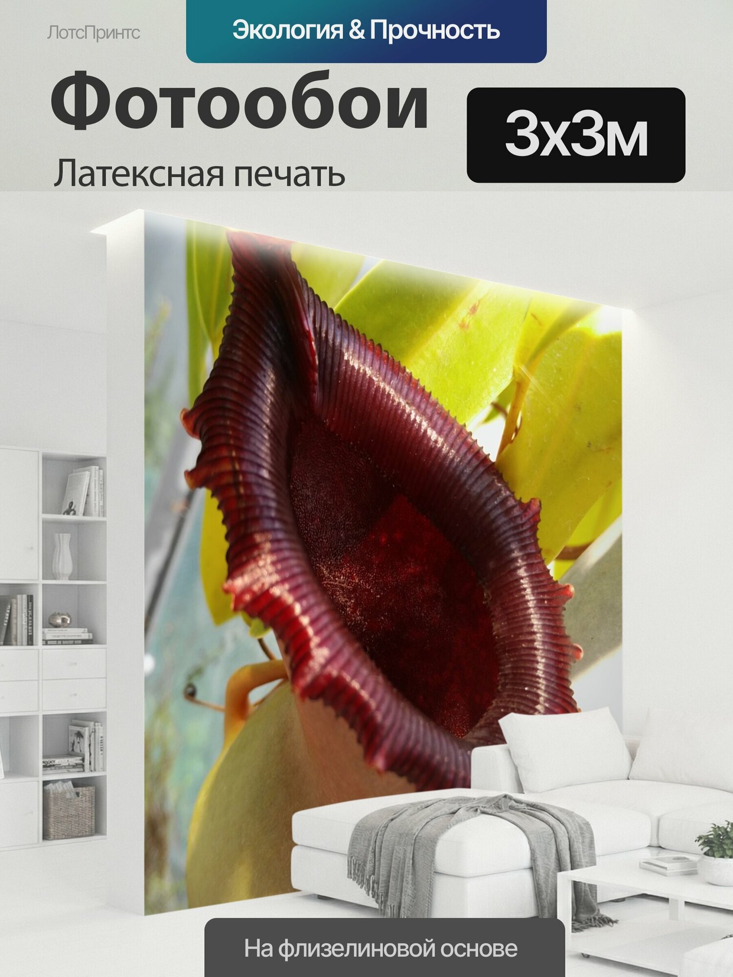 Фотообои моющиеся ударопрочные "Непентес, ботанический сад, будапешт" 300x300 см. латексная печать