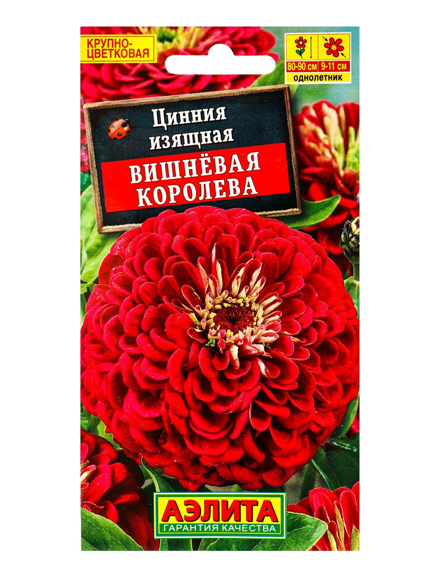 Цинния «Вишневая Королева», семена цветов, 0.3 г