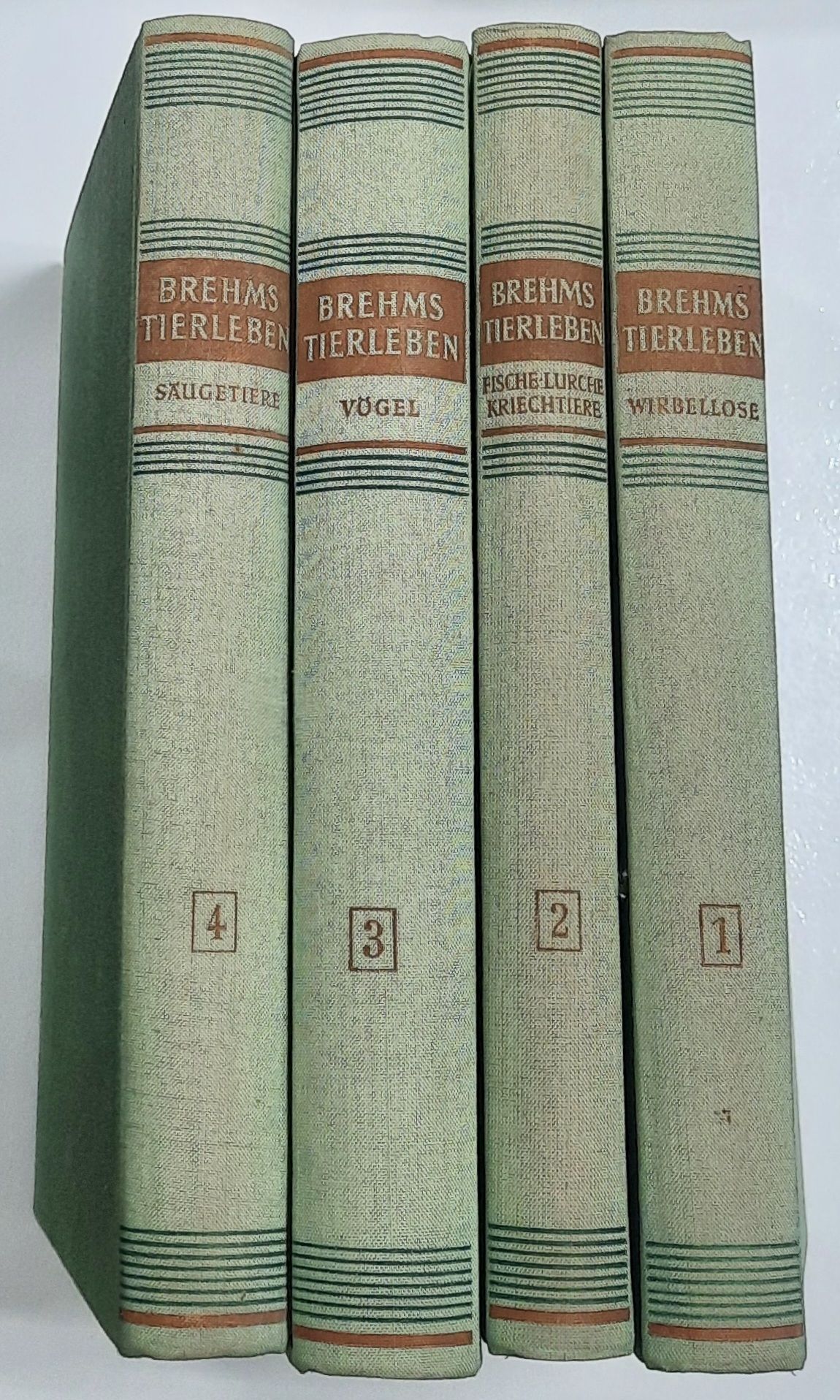 Brehms tierleben in vier banden