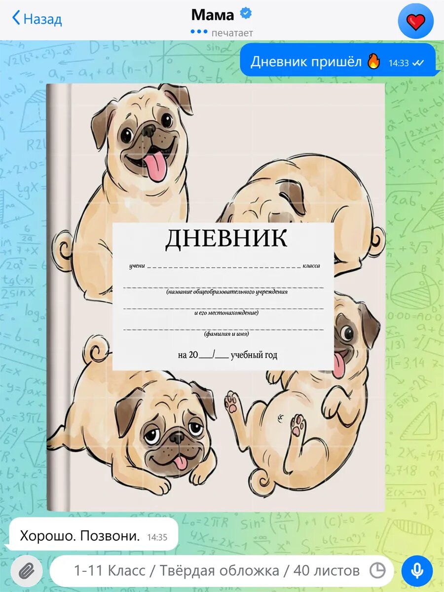 Школьный дневник с принтом y2k pinterest