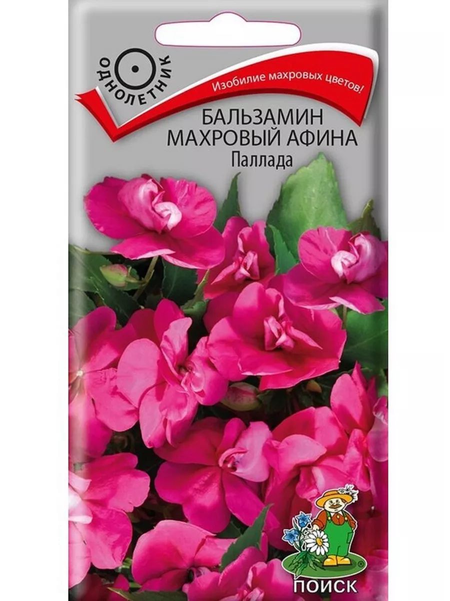 Бальзамин махровый Афина Паллада, 5 семян.