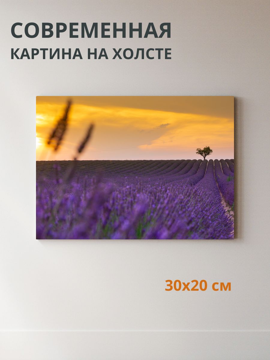 Картина на холсте Поле лаванды на закате 30x20 см