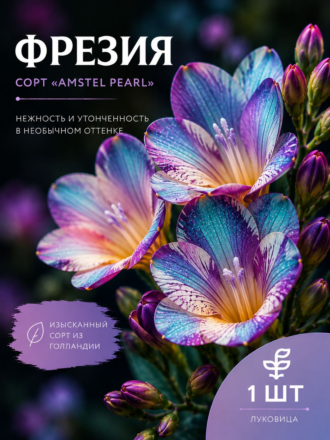 Фрезия луковицы многолетние 1 штука