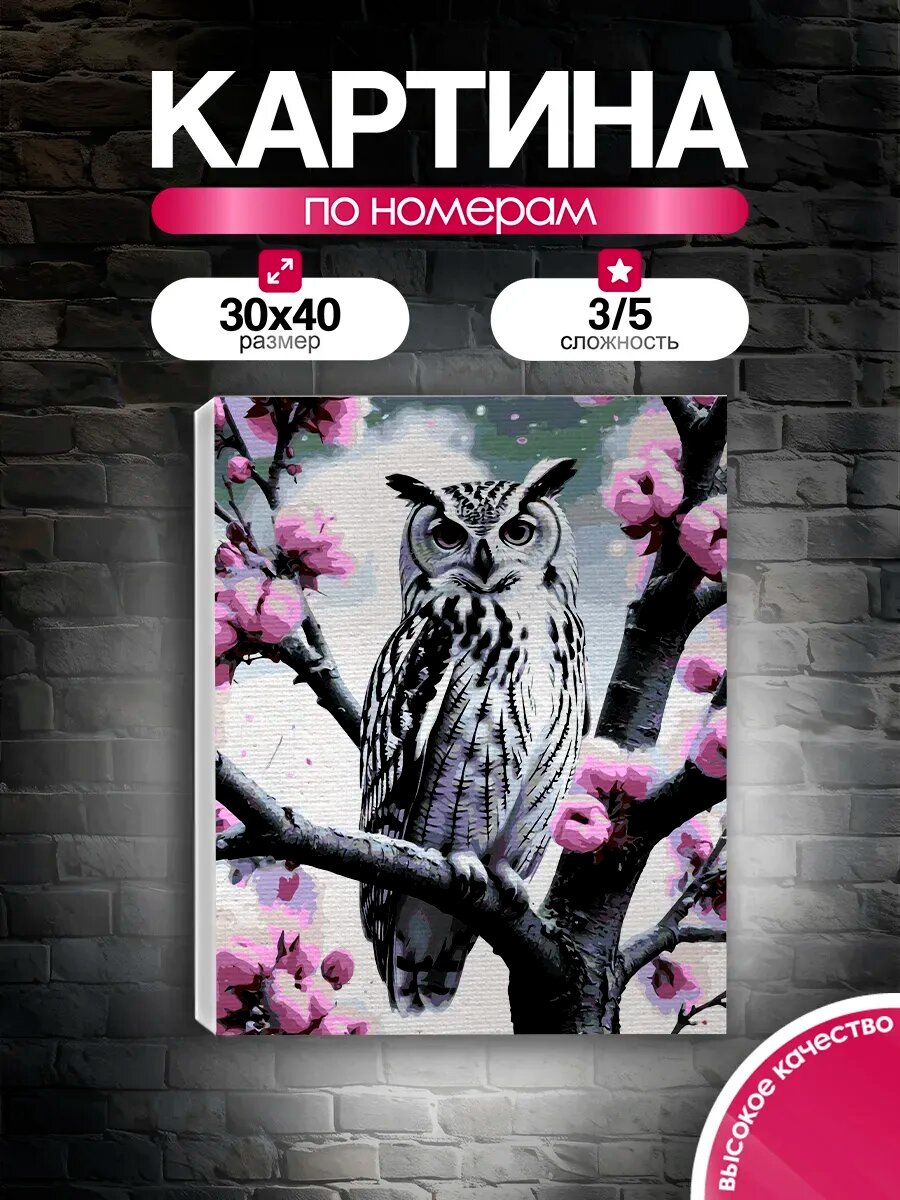 Картина по номерам 30x40 Сова в сакуре