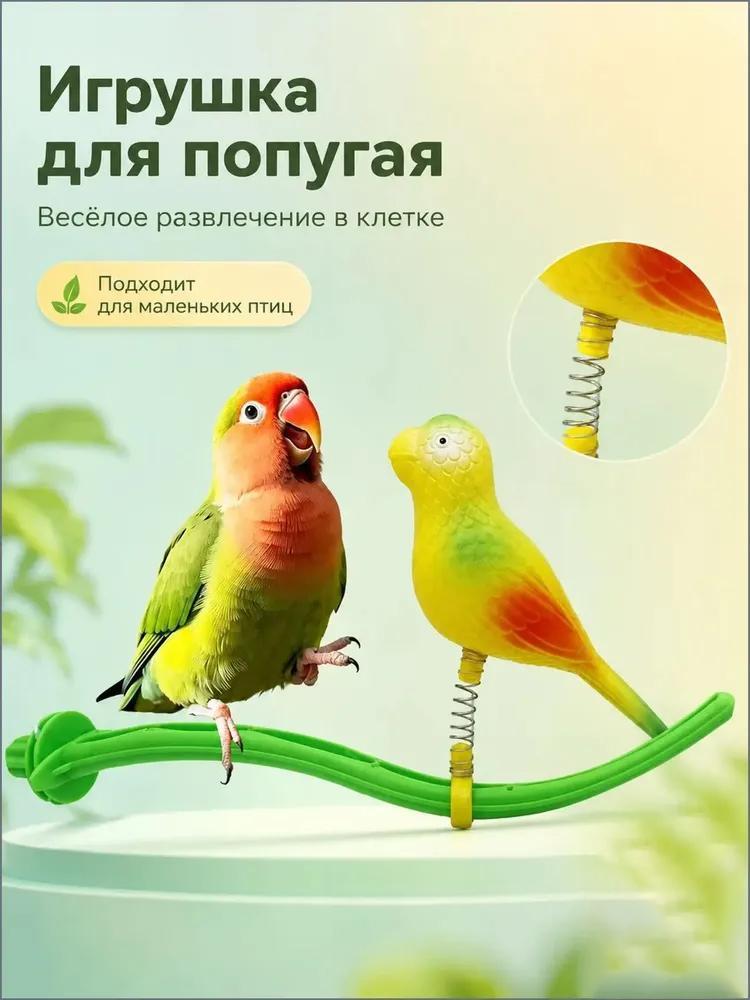 Игрушки для попугаев, жердочки для птиц, птицы-компаньоны