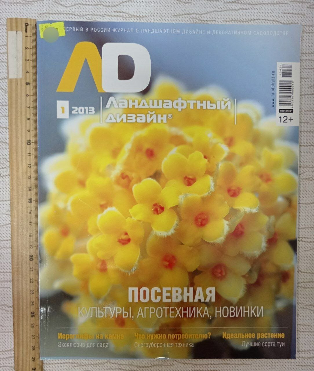 Журнал Ландшафтный дизайн 2013 №1