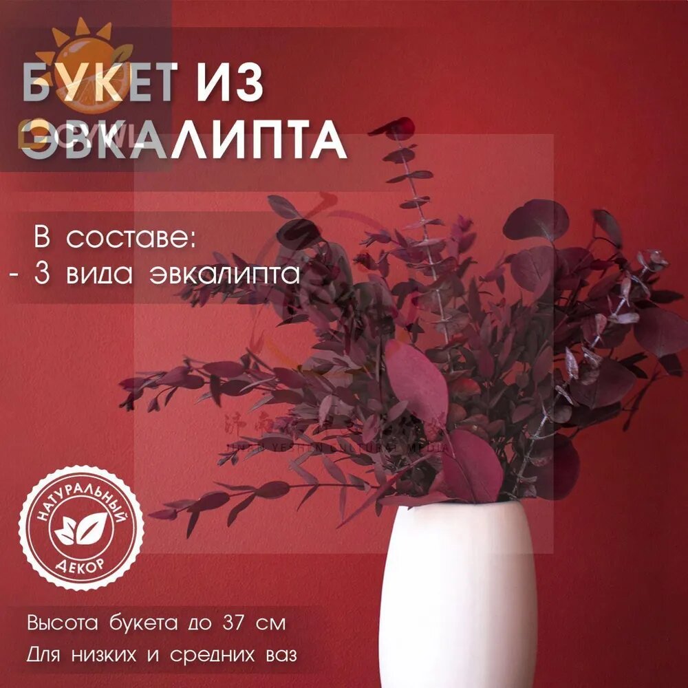 Стабилизированные цветы Эвкалипт 37 см бордовый, декор для дома