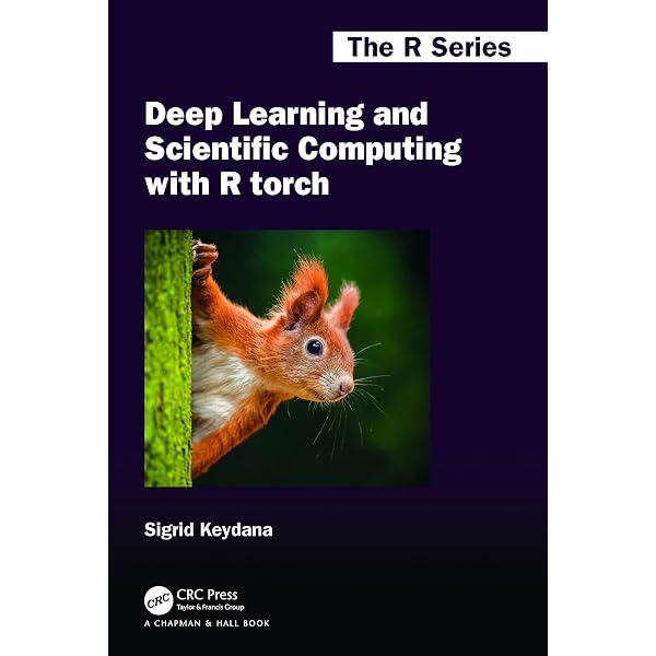 Deep Learning and Scientific Computing with R torch (Chapman & Hall/CRC The R Series)，Reprinted paperback book