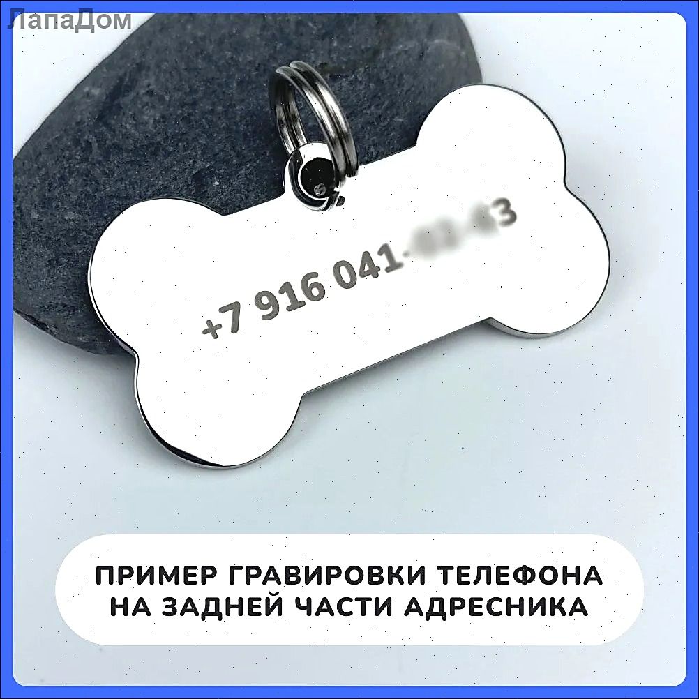 Адресник для собак с гравировкой и регулируемым шнурком, косточка, нержавеющая сталь