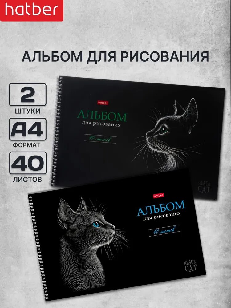 Альбомы для рисования 40 листов 2 штуки А4 на пружине