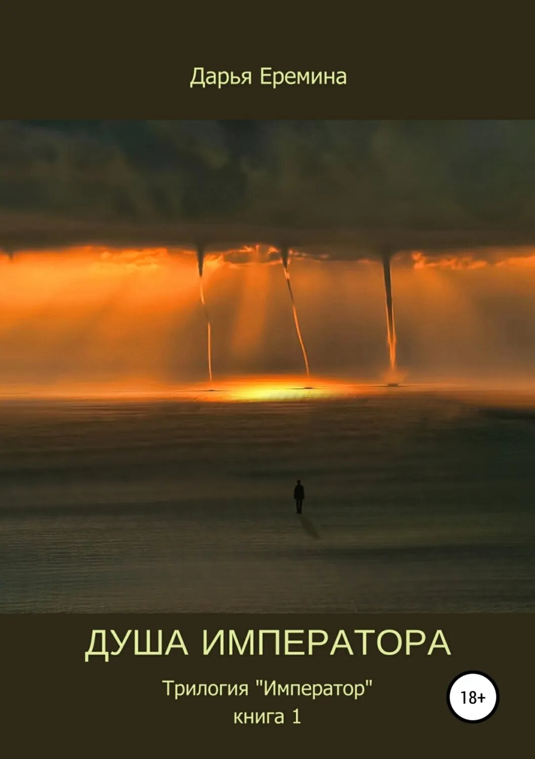 Душа императора. Книга 1 [Цифровая книга]