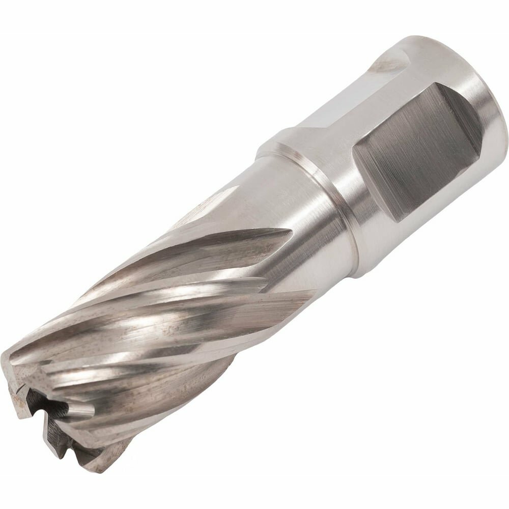 Корончатое сверло Gigant GCD-3017